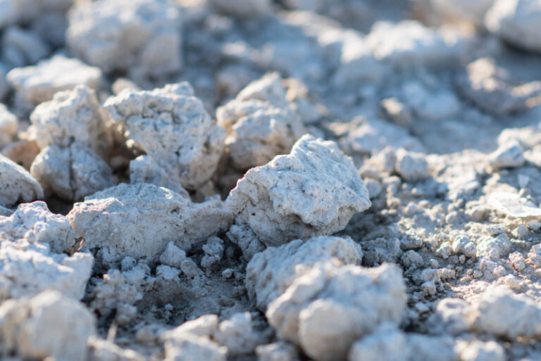 Great White Project kaolin set for Mediterranean distribution - Mining ...