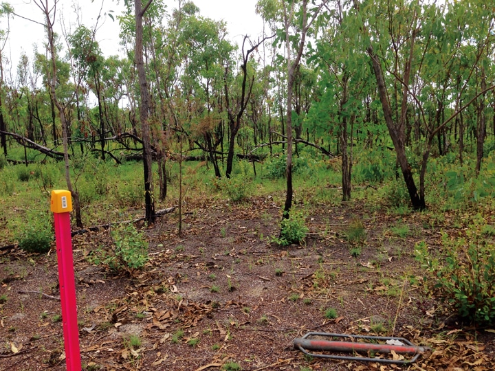 Mining in the nature-positive era - Mining Magazine Australia