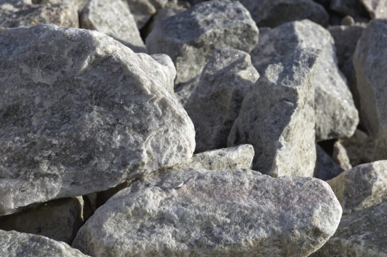 Develop builds Pioneer Dome case ahead of lithium FID - Mining Magazine ...